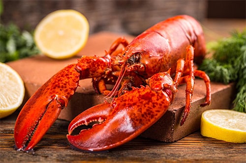 Homard froid mayonnaise - EAFC Fléron-Charlemagne - Métiers de bouche